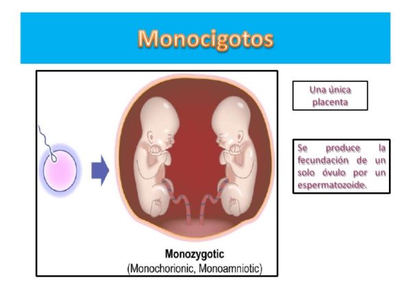 EMBARAZOS MÚLTIPLES